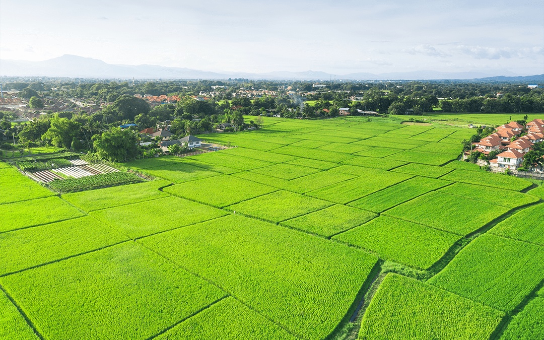 Qué es una parcela | Aliseda Inmobiliaria